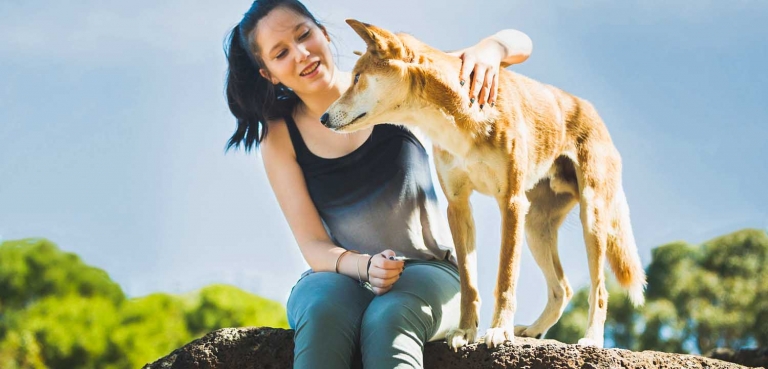 Moonlit Sanctuary - The best place to see Aussie animals!