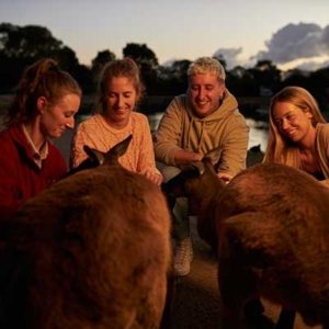 Moonlit Sanctuary - The best place to see Aussie animals!